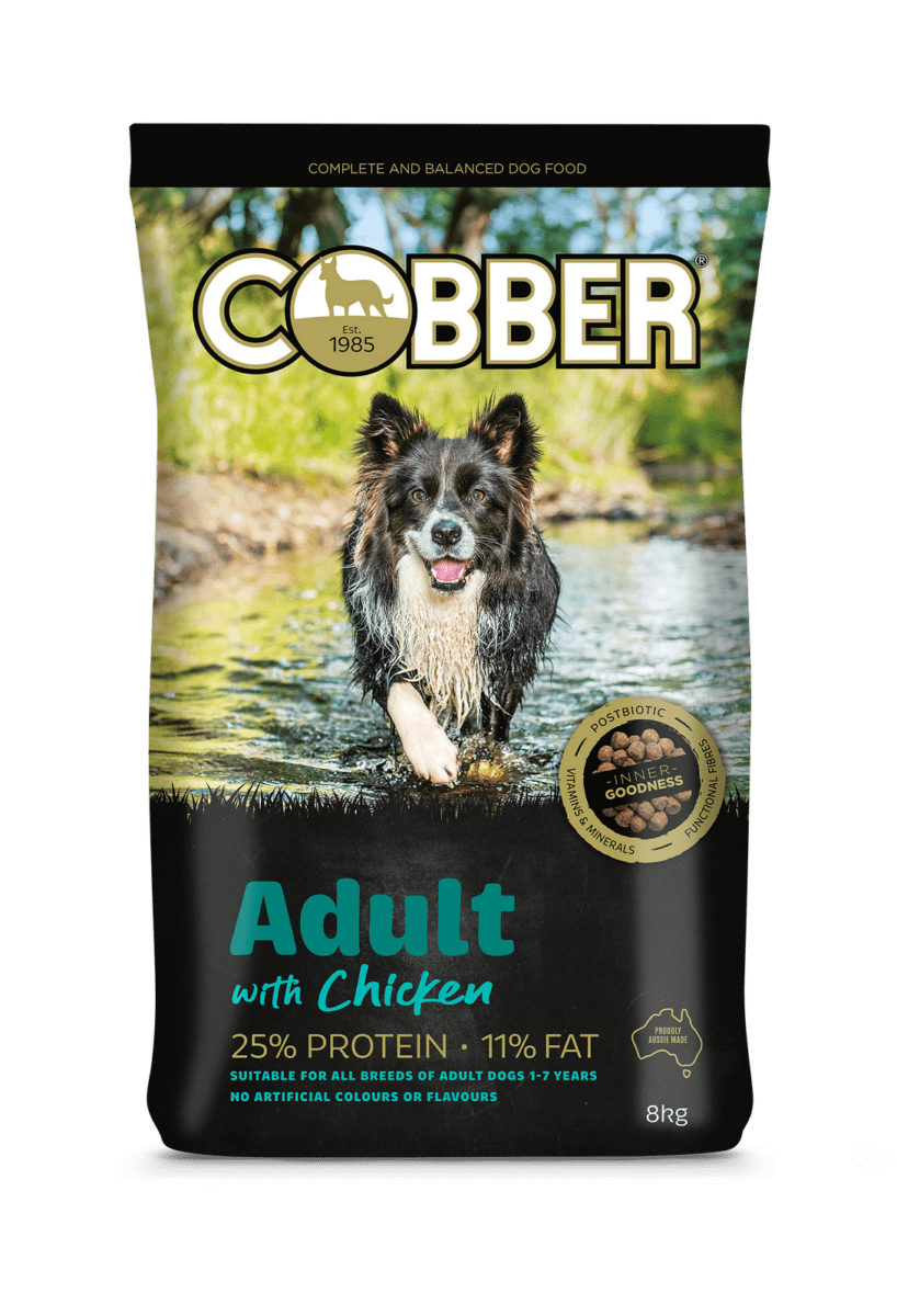Cobber Senior Dog 20kg - Buy Dog Food Online