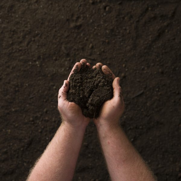 Premium Garden Soil (1m3) - Caloundra Produce and Landscaping
