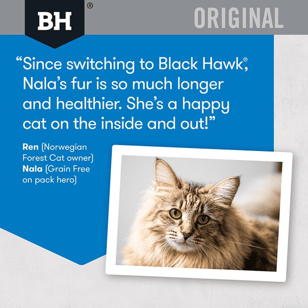 Black Hawk Fish 3kg Cat Feline - Caloundra Produce and Landscaping