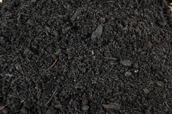 Premium Garden Soil Caloundra Produce Bagged - Caloundra Produce and ...